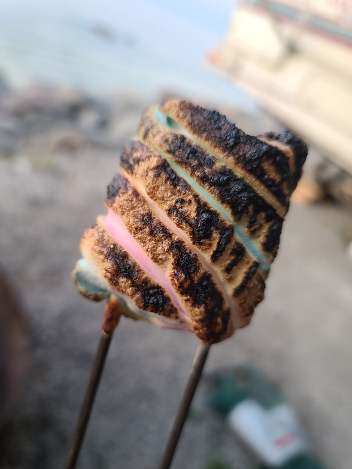 Best Camping Marshmallows for S'Mores Over A Camp Fire - 2 Nerds In A Truck