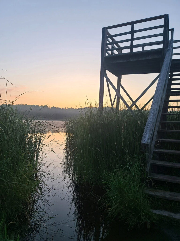 Valens Lake Conservation Area Campground Review - 2 Nerds In A Truck
