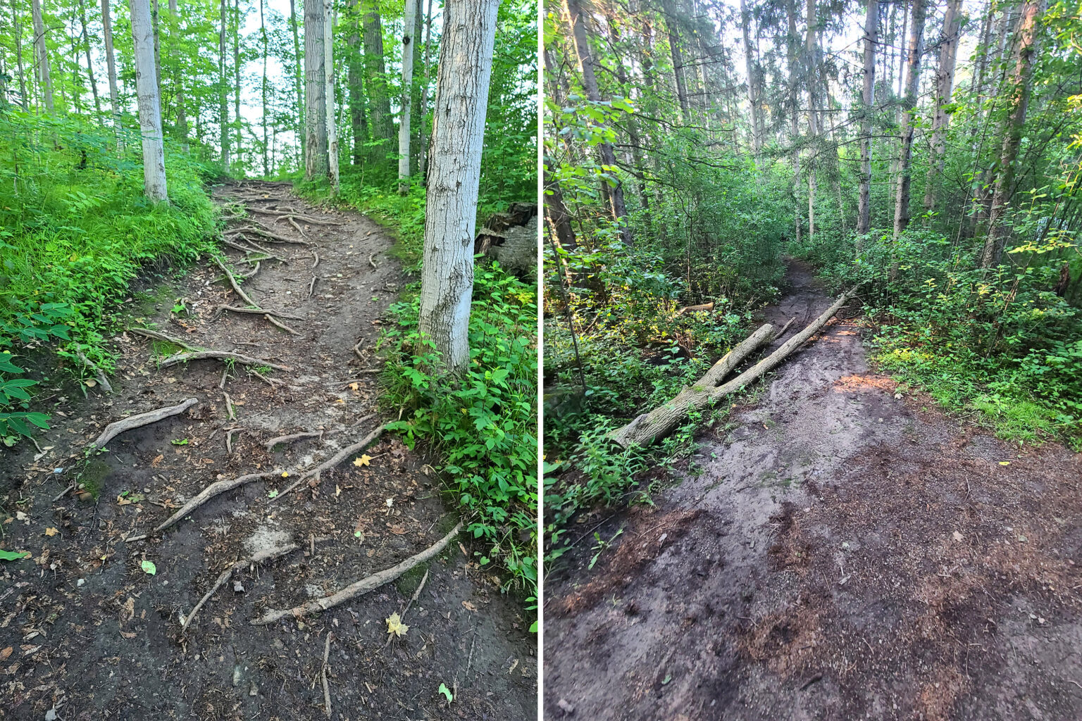 Valens Lake Conservation Area Campground Review - 2 Nerds In A Truck