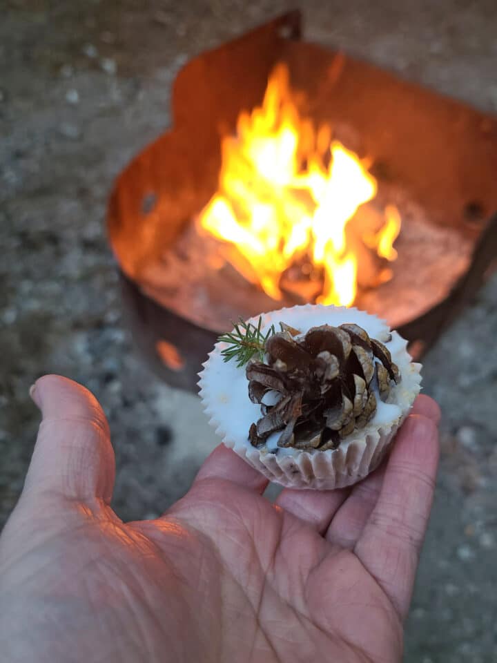 The Best Fire Starters for Camping - DIY & Not - 2 Nerds In A Truck