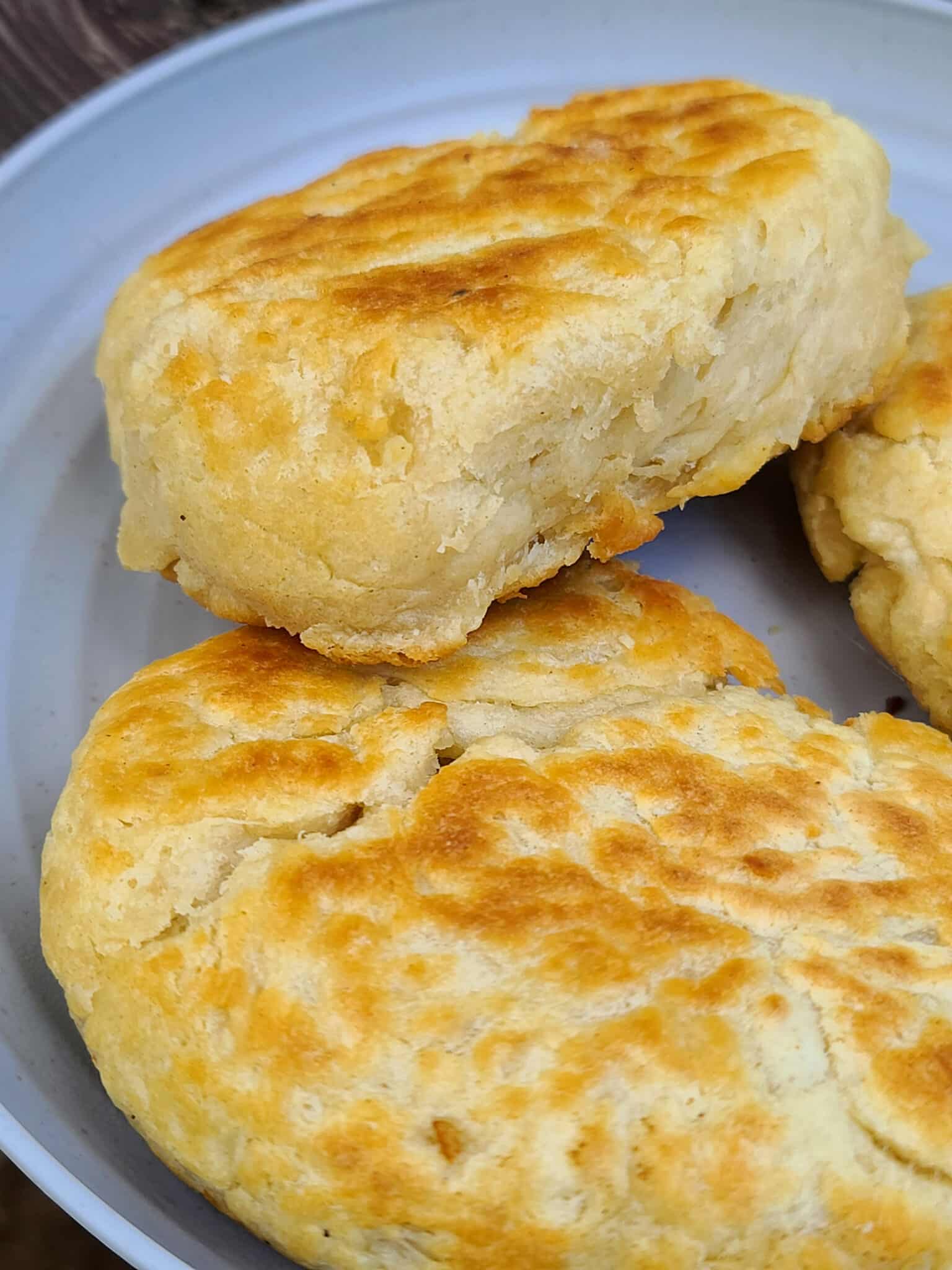 Traditional Bannock Recipe [How to Make Bread on a Campfire] - 2 Nerds ...