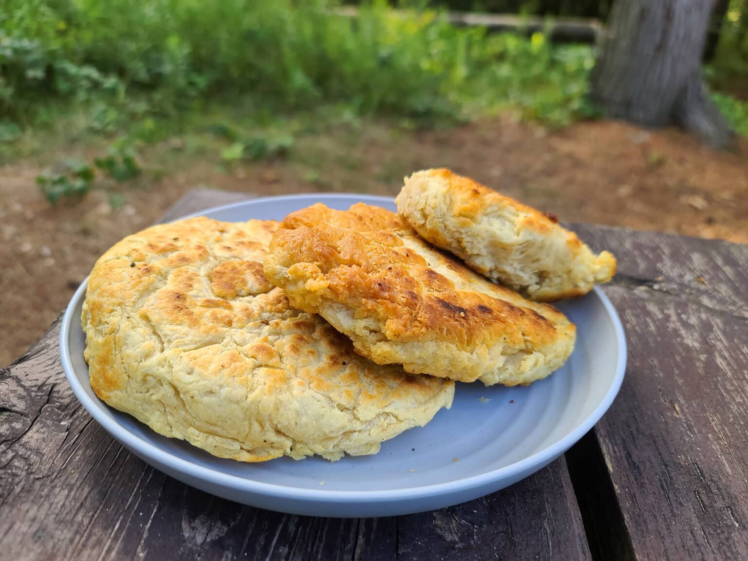 Traditional Bannock Recipe [How to Make Bread on a Campfire] - 2 Nerds ...