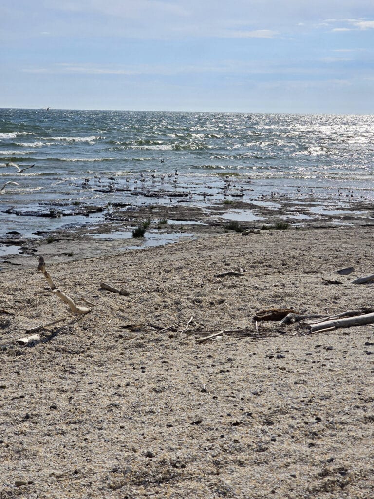 Rock Point Provincial Park, Ontario: RV Camping Review - 2 Nerds In A Truck