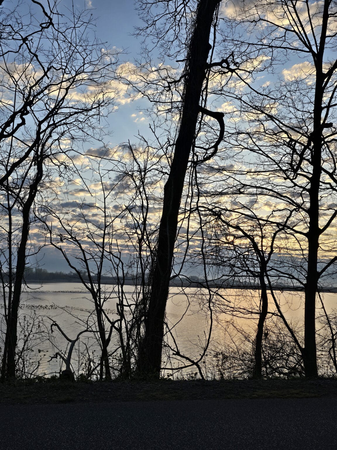 Ultimate Guide to Point Pelee National Park - Things to Do, Places to ...