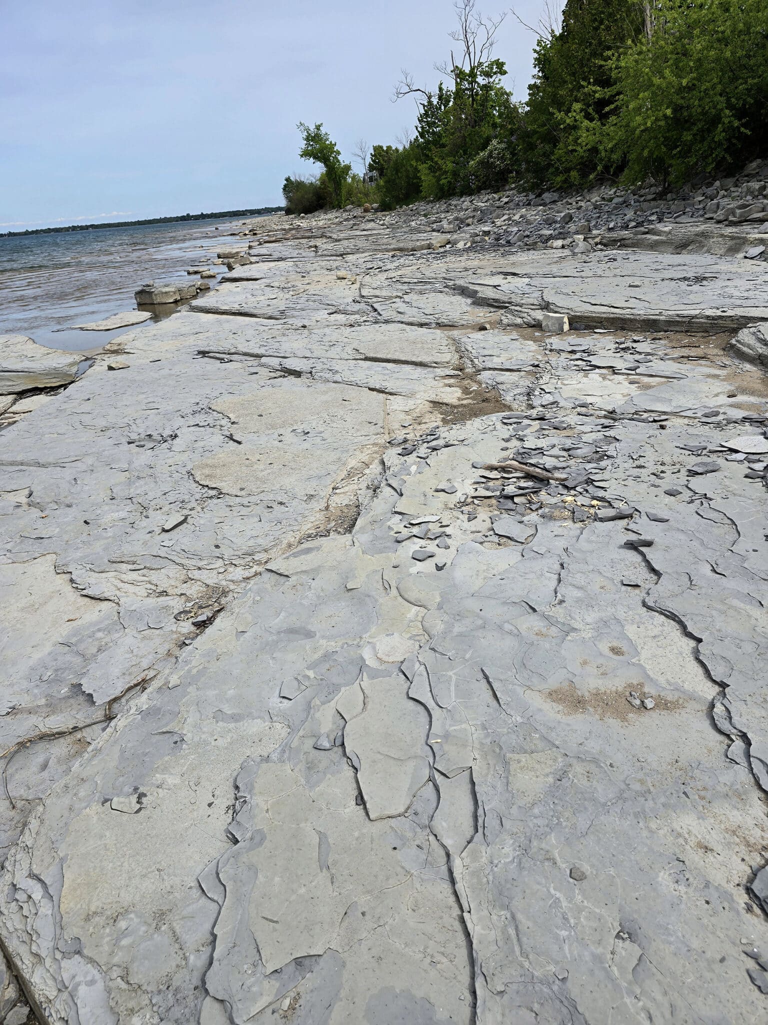 Craigleith Provincial Park Campground Review [Blue Mountains] - 2 Nerds ...