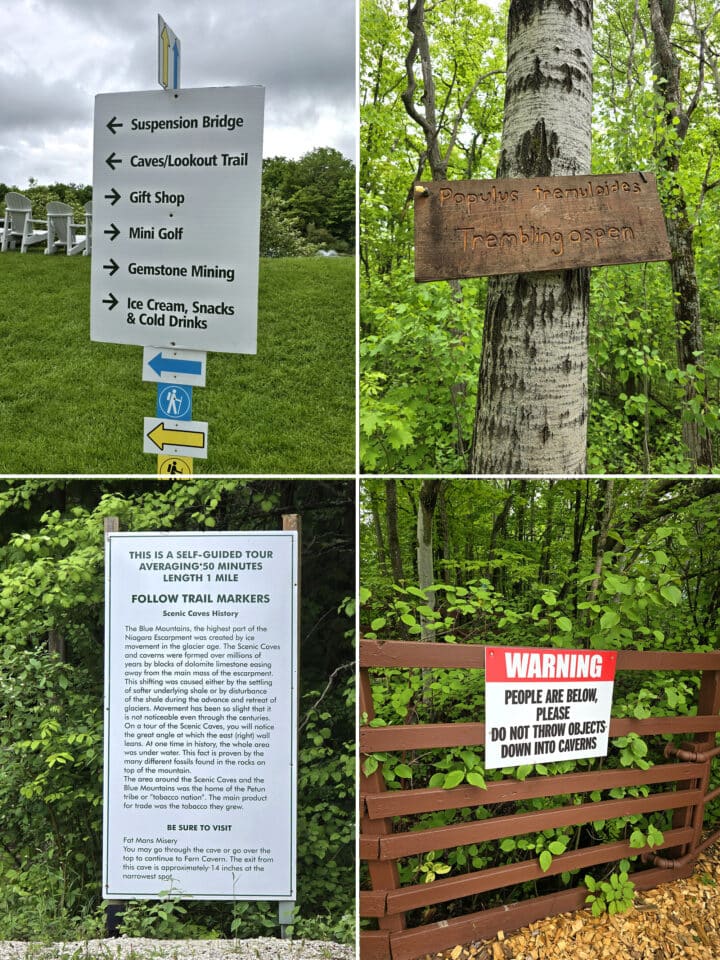 Scenic Caves Nature Adventures - What You Need to Know! - 2 Nerds In A ...