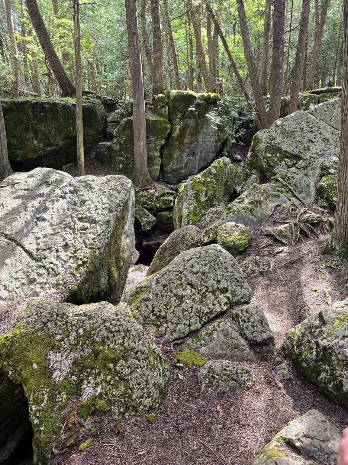 Warsaw Caves Conservation Area Campground, Caving & Trails - 2 Nerds In ...