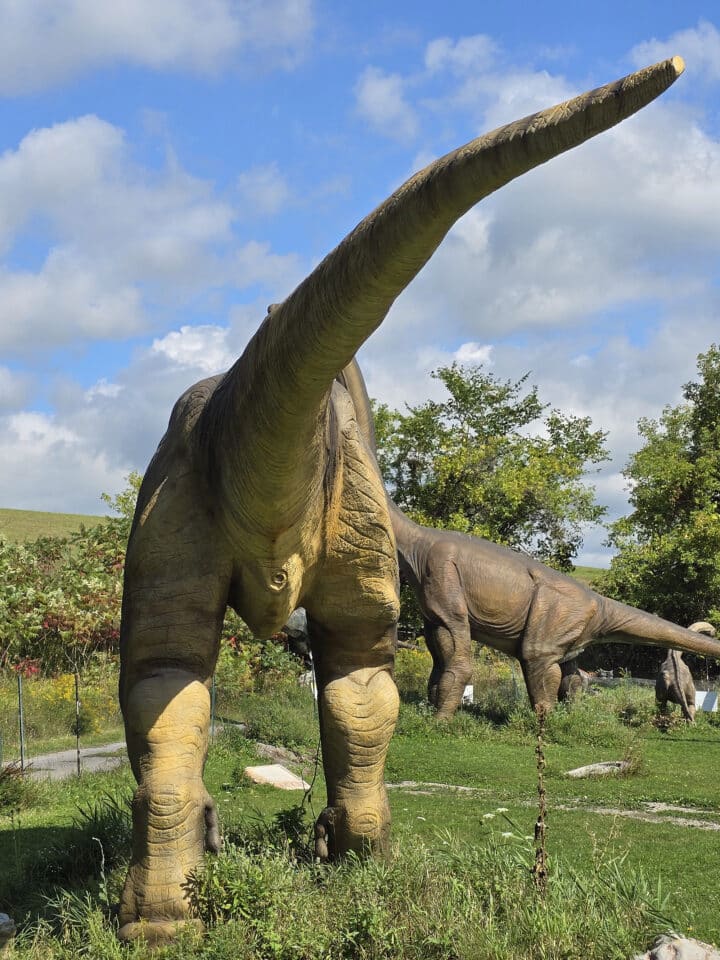 Canada's Dinosaur Park Indian River, ON - Complete Visitor Guide! - 2 ...
