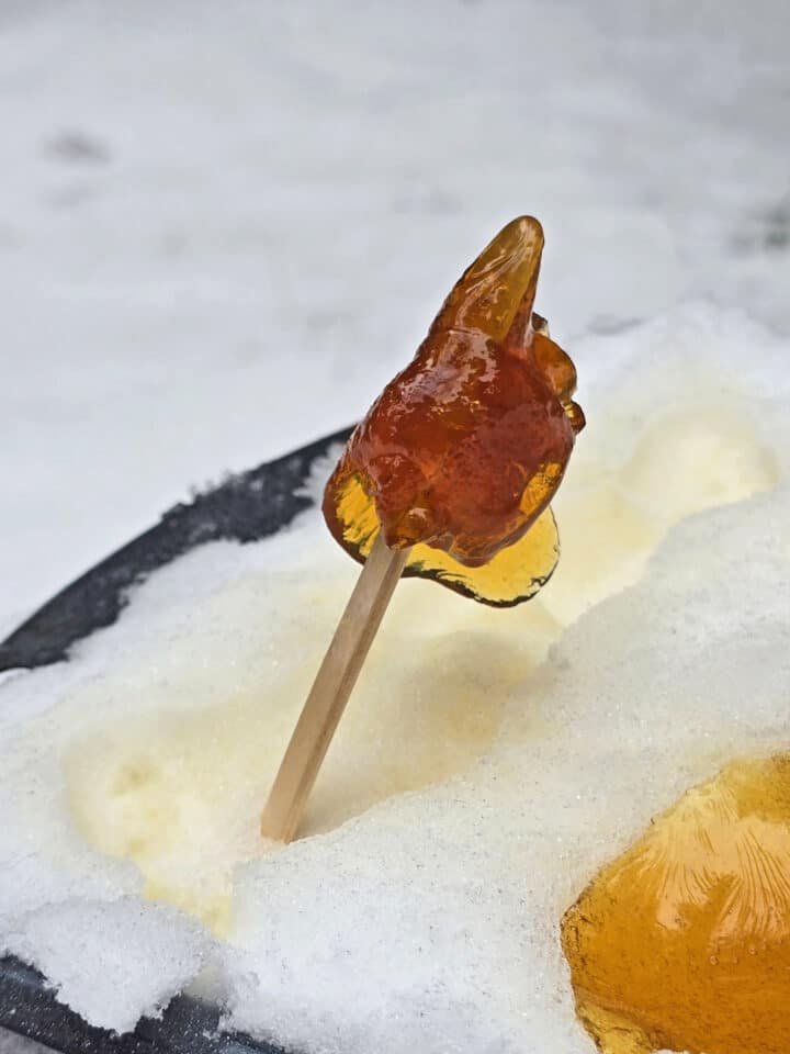 How to Make Maple Taffy [Maple Syrup Candy on Snow!] - 2 Nerds In A Truck