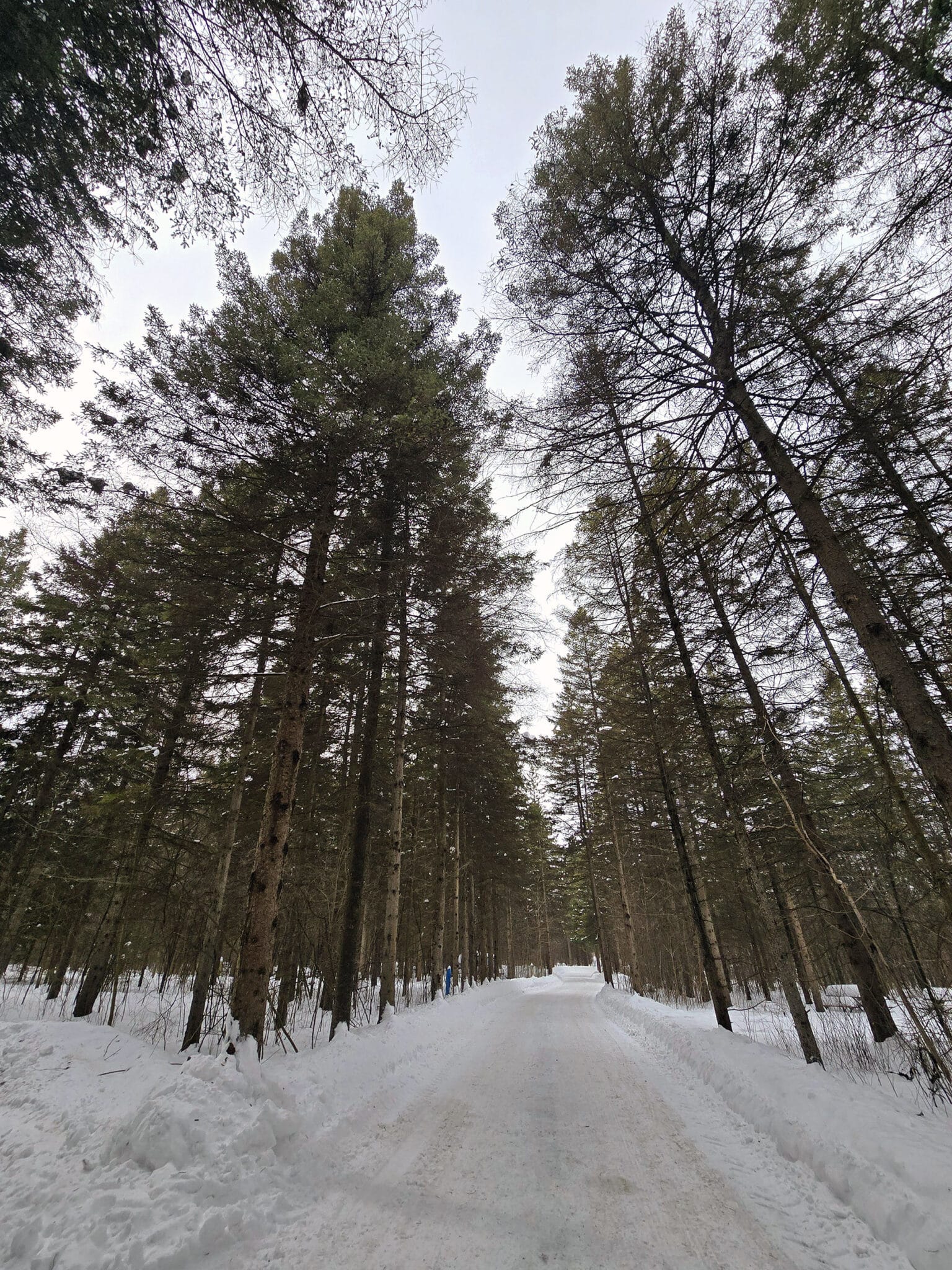 Winter Camping at Valens Lake Conservation Area - Review/Guide - 2 ...