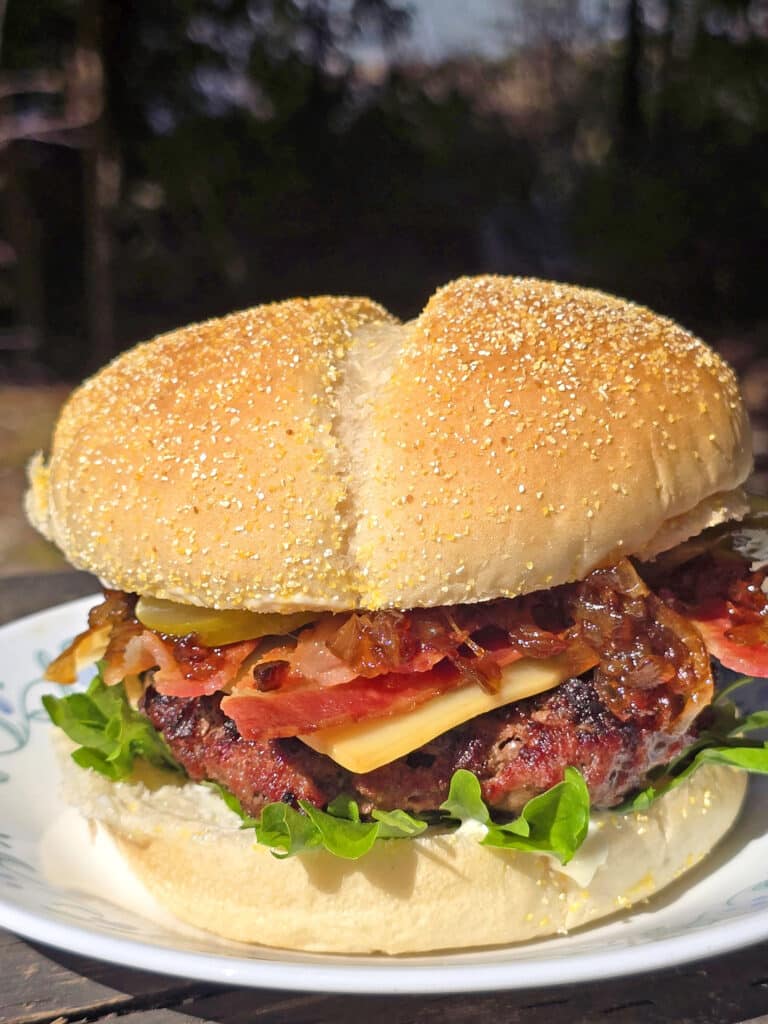 Juicy Bison Burgers Recipe [With Bacon and Caramelized Onion!] - 2 ...