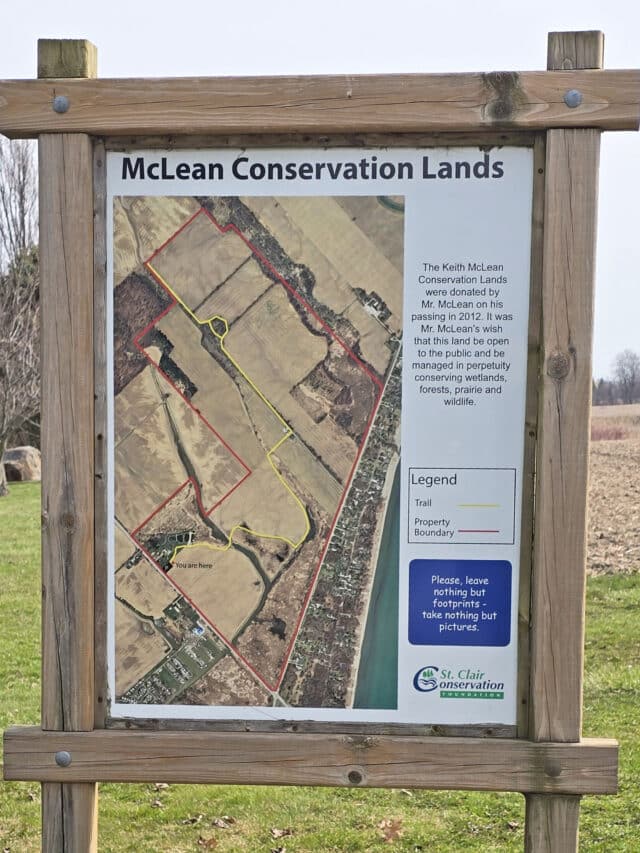 Keith McLean Conservation Lands - A Birder's Paradise! - 2 Nerds In A Truck
