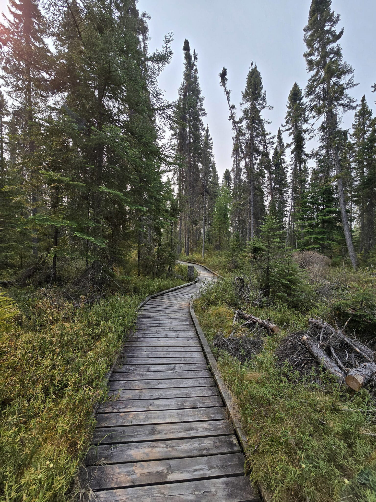 Blue Lake Provincial Park Review & Camping Guide - 2 Nerds In A Truck
