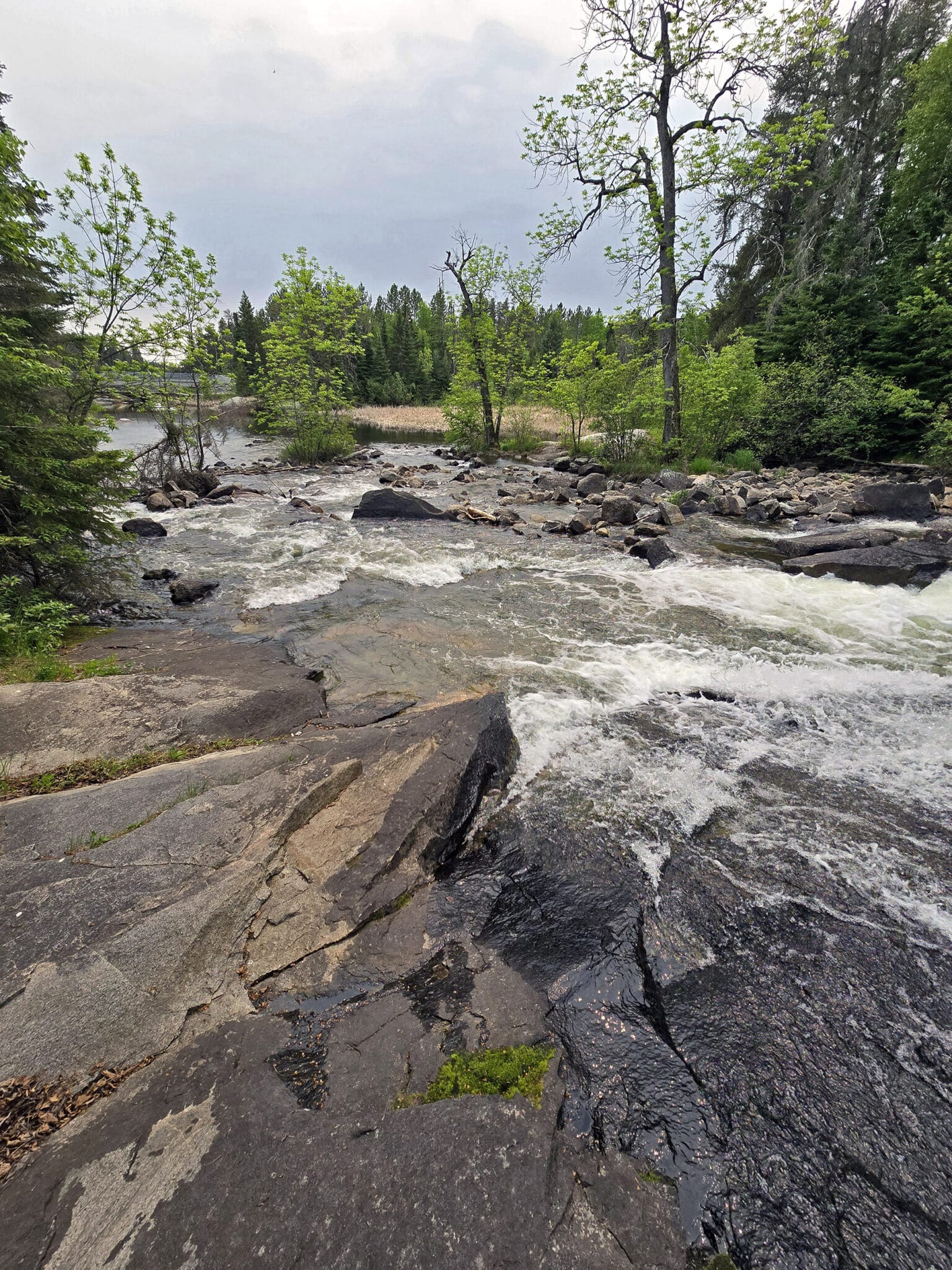 Rushing River Provincial Park Review & Camping Guide - 2 Nerds In A Truck